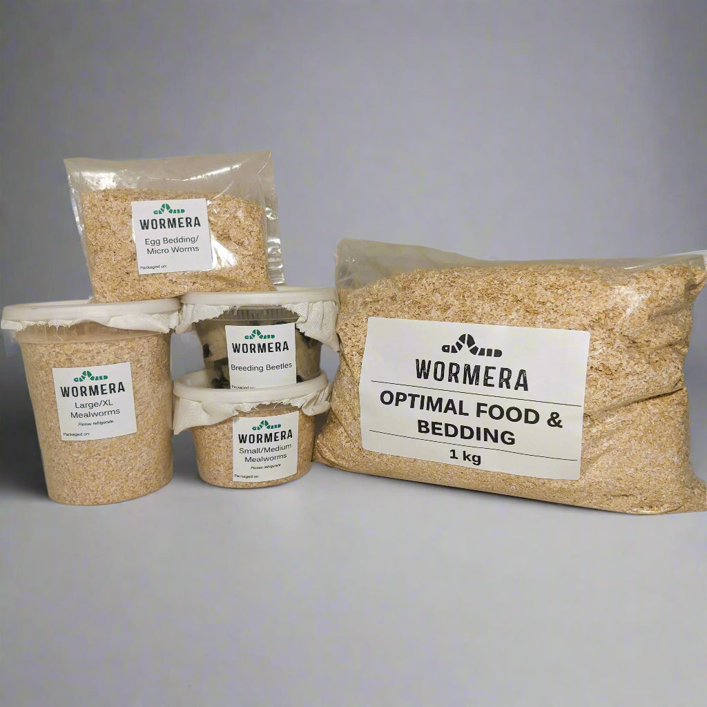 Small Mealworm Breeding Farm Kit – Wormera